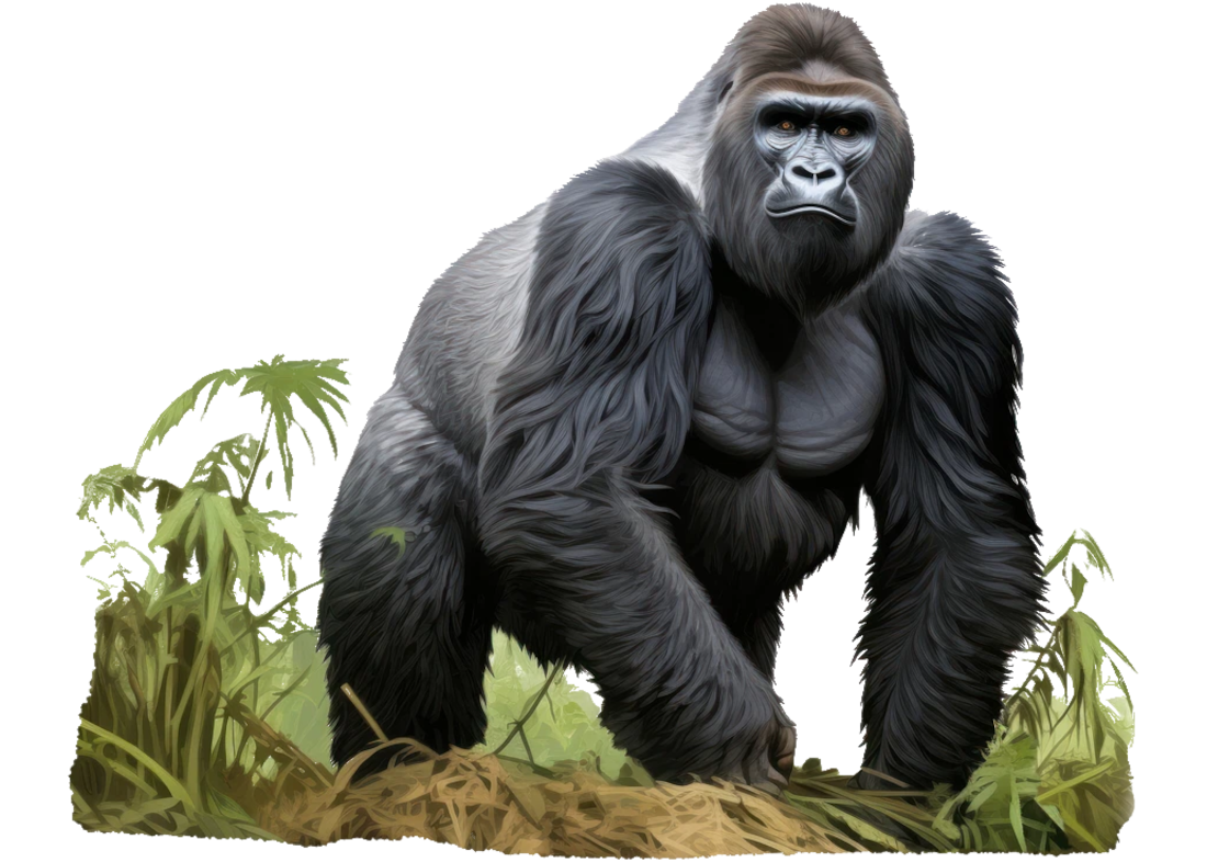 Rwanda Mountain Gorillas